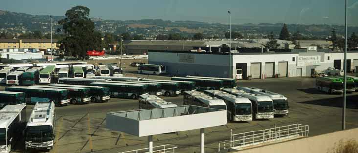 AC Transit | SHOWBUS AMERICA BUS IMAGE GALLERY