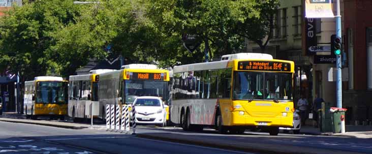 Adelaide Metro Scania rigid buses | australia.SHOWBUS.com BUS IMAGE GALLERY