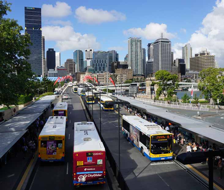 Brisbane Transport | australia.SHOWBUS.com BUS IMAGE GALLERY