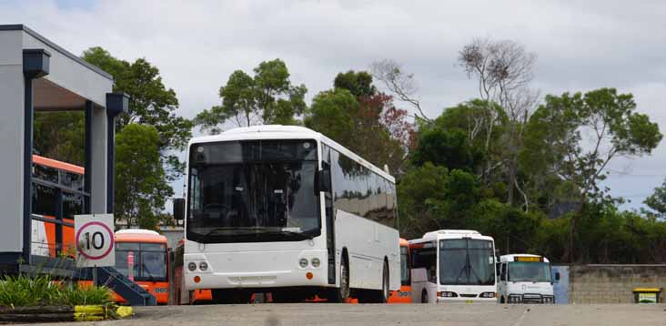 Busways | australia.SHOWBUS.com BUS IMAGE GALLERY | NSW