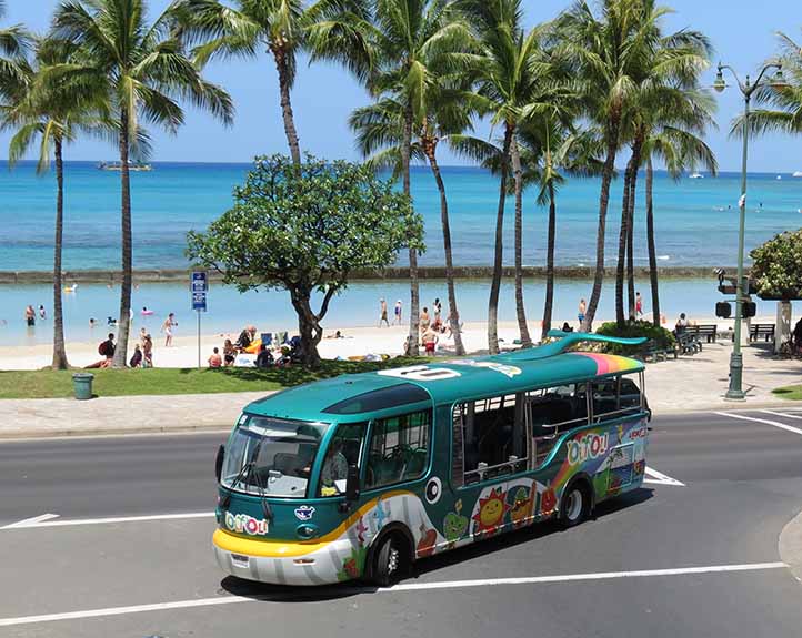 TP Transportation | SHOWBUS AMERICA BUS IMAGE GALLERY | Hawaii
