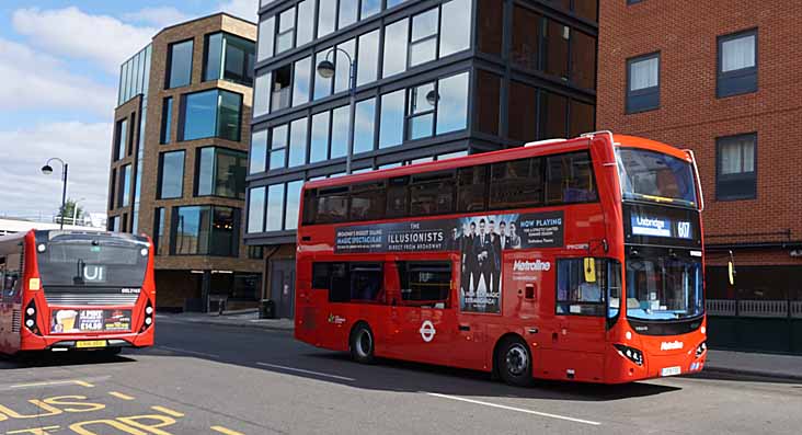 Metroline | SHOWBUS LONDON BUS IMAGE GALLERY