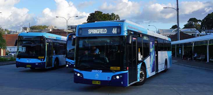 Red Bus Services | australia.SHOWBUS.com BUS IMAGE GALLERY | NSW