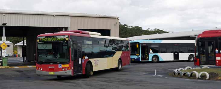 Red Bus Services | australia.SHOWBUS.com BUS IMAGE GALLERY | NSW