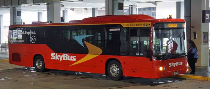 Panorama Coaches | Dineen Group | australia.SHOWBUS.com BUS IMAGE ...
