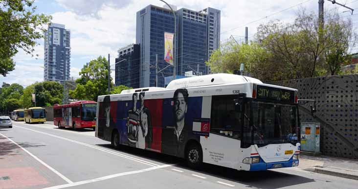 Sydney Buses | australia.SHOWBUS.com BUS IMAGE GALLERY