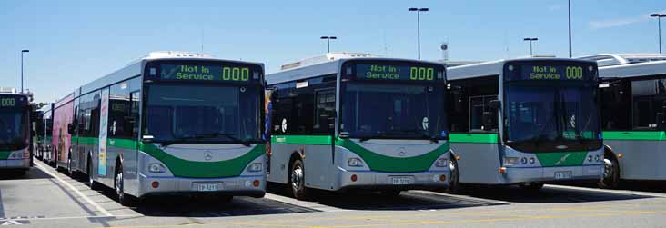 Transperth - australia.SHOWBUS.com PHOTO GALLERY