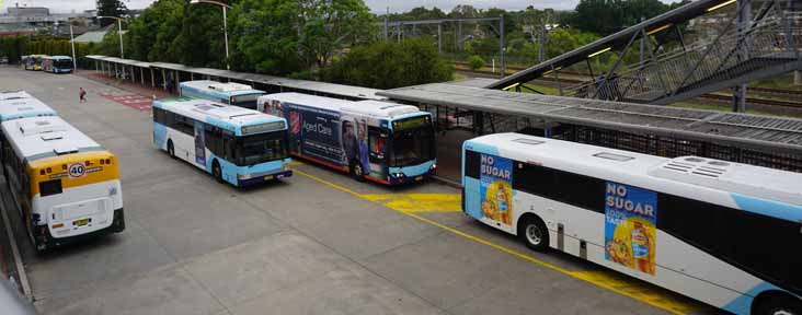 Interline | australia.SHOWBUS.com BUS IMAGE GALLERY | NSW