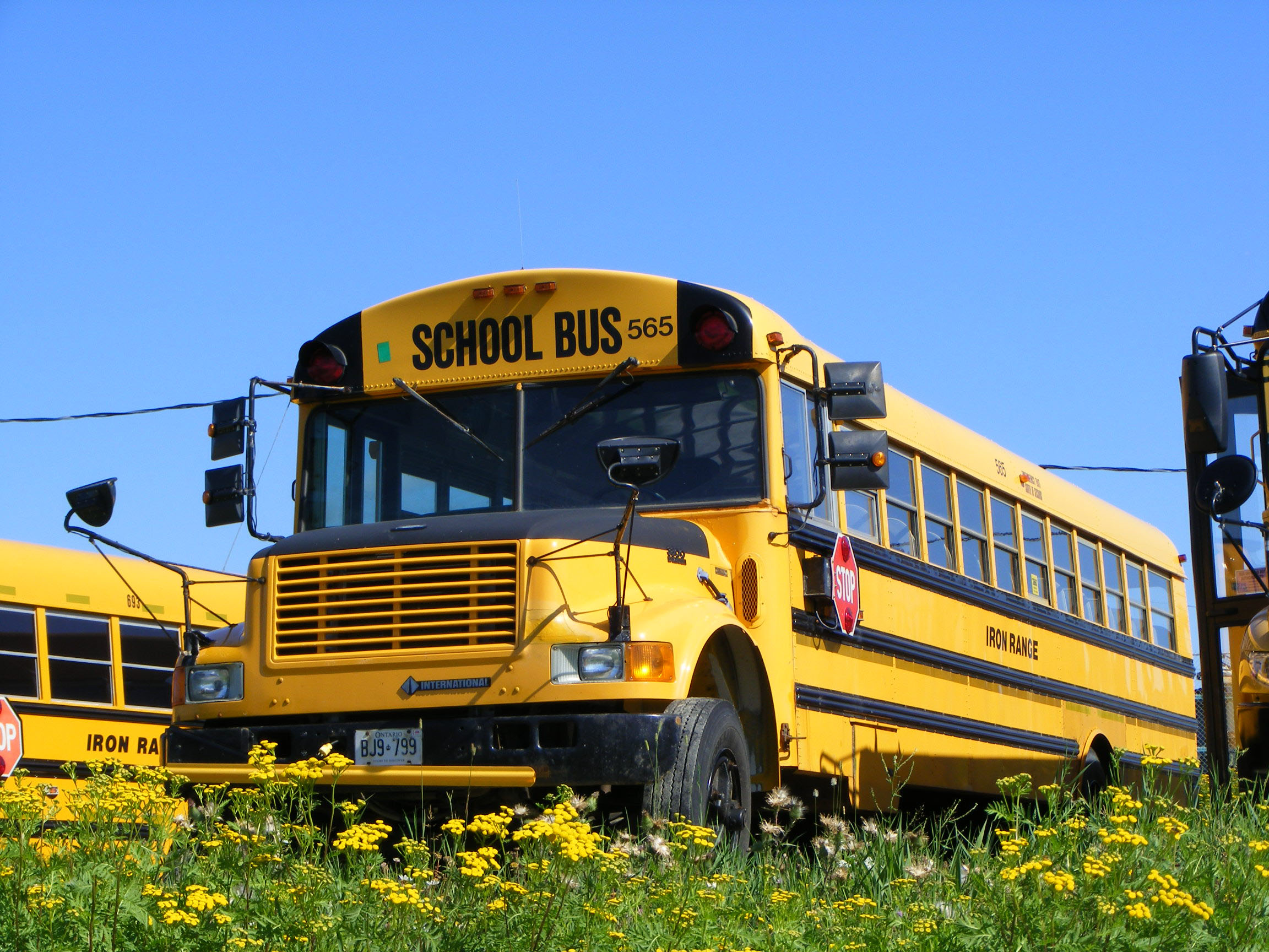 Iron Range Bus Lines | SHOWBUS International BUS IMAGE GALLERY | Canada