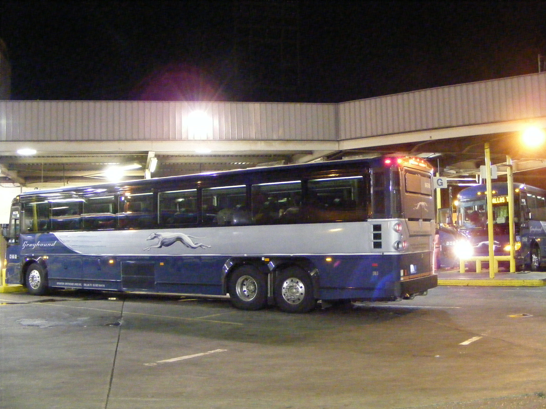 SHOWBUS International BUS IMAGE GALLERY | USA | Greyhound
