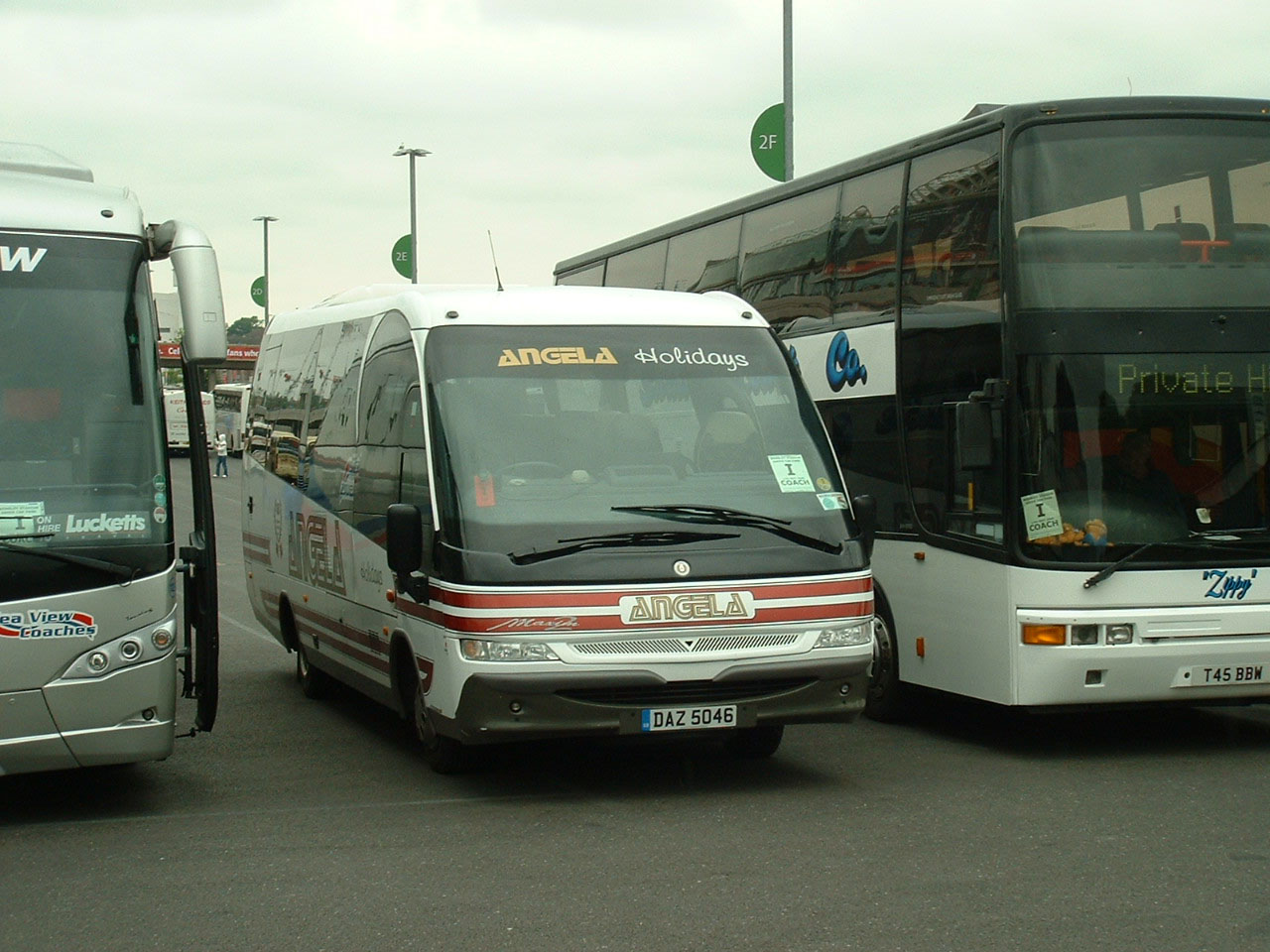 Angela Coaches | SHOWBUS BUS IMAGE GALLERY | Hampshire: South of England