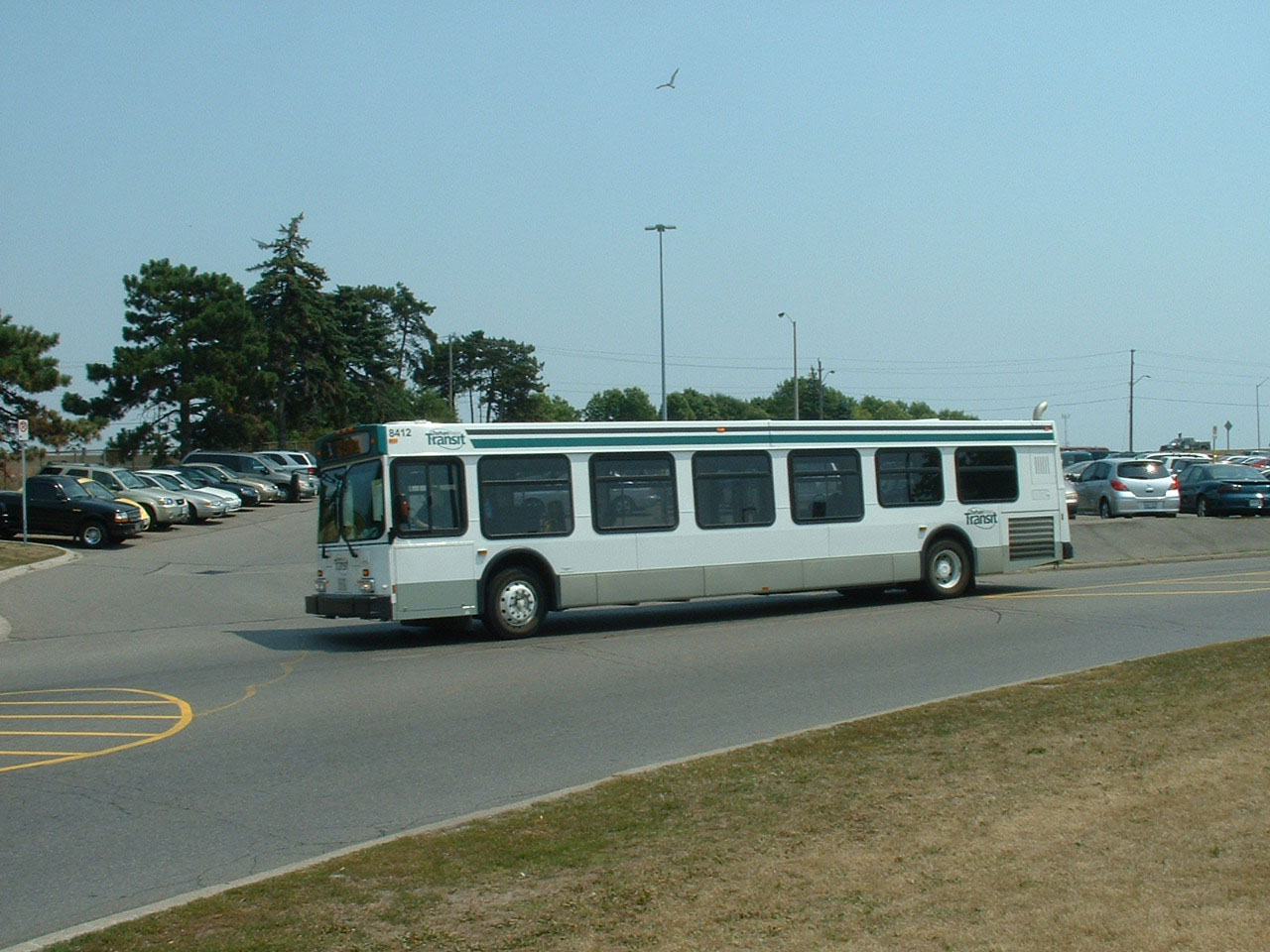 Durham Region Transit | SHOWBUS INTERNATIONAL BUS IMAGE GALLERY | Canada