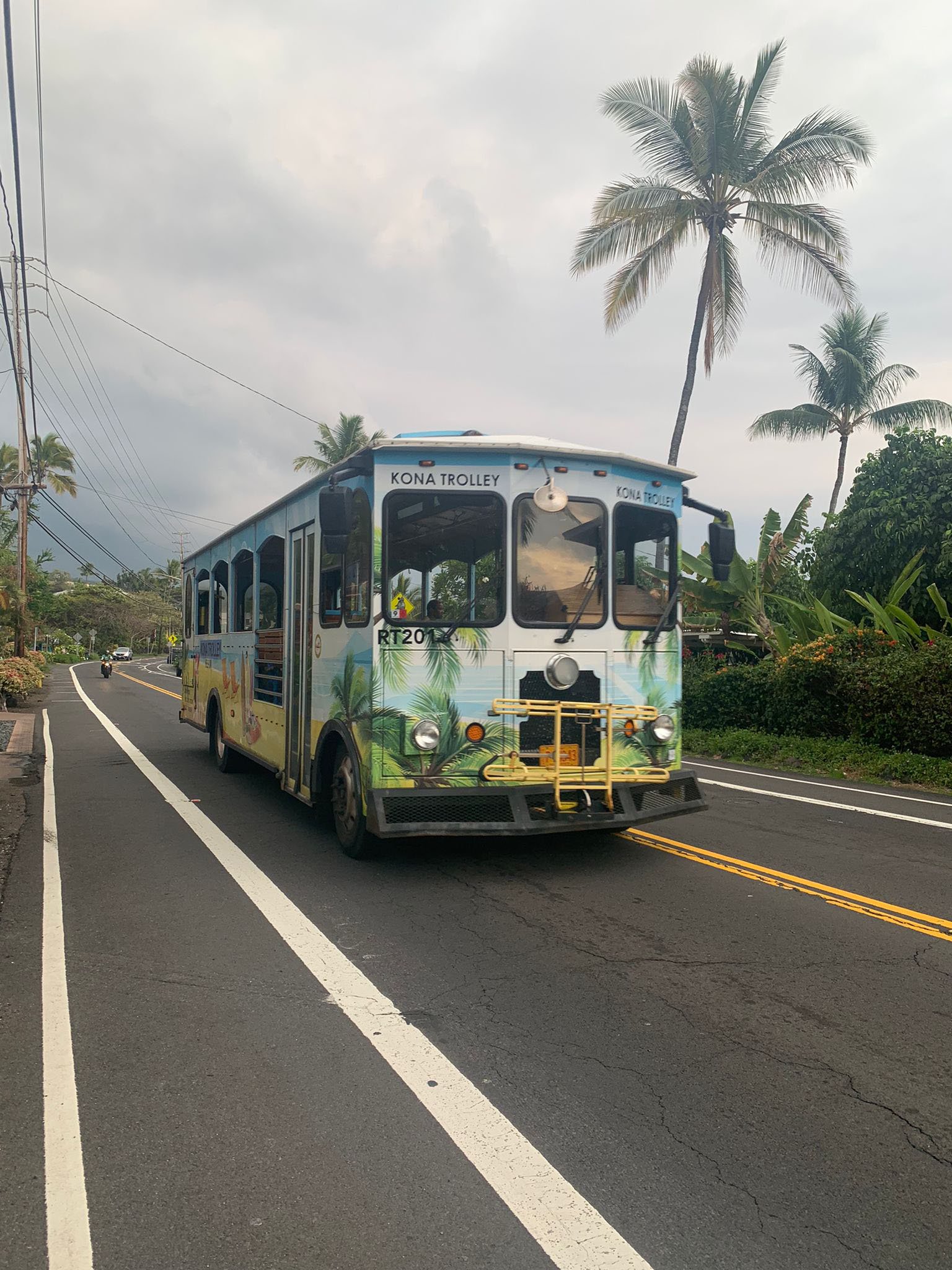 Hawaiian buses & coaches | SHOWBUS AMERICA Bus Image Gallery | Hawaii
