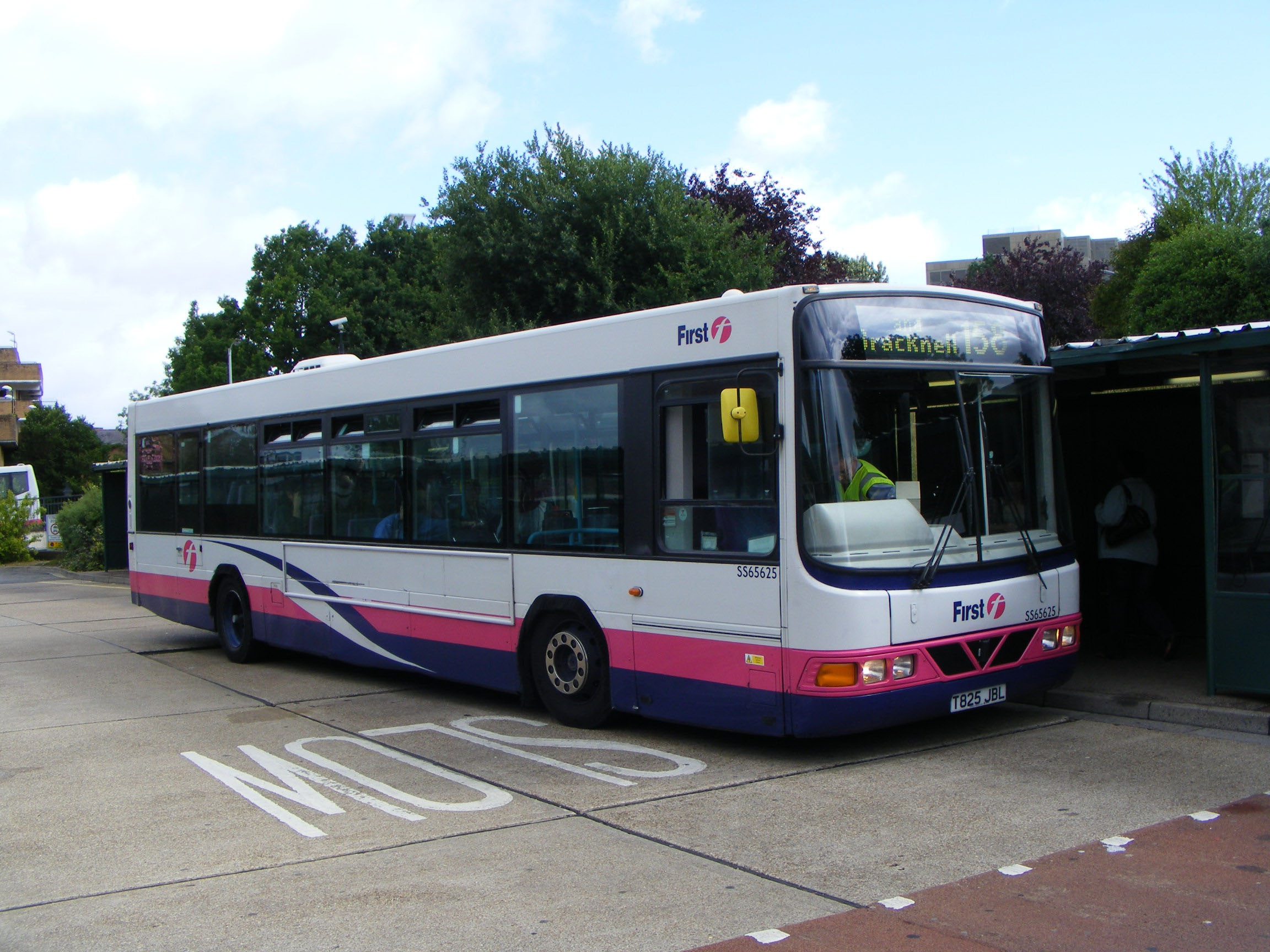 Beeline & First Berkshire SHOWBUS Bus Image Gallery