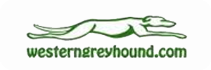 Western Greyhound | The SHOWBUS Bus Image Gallery | South West England
