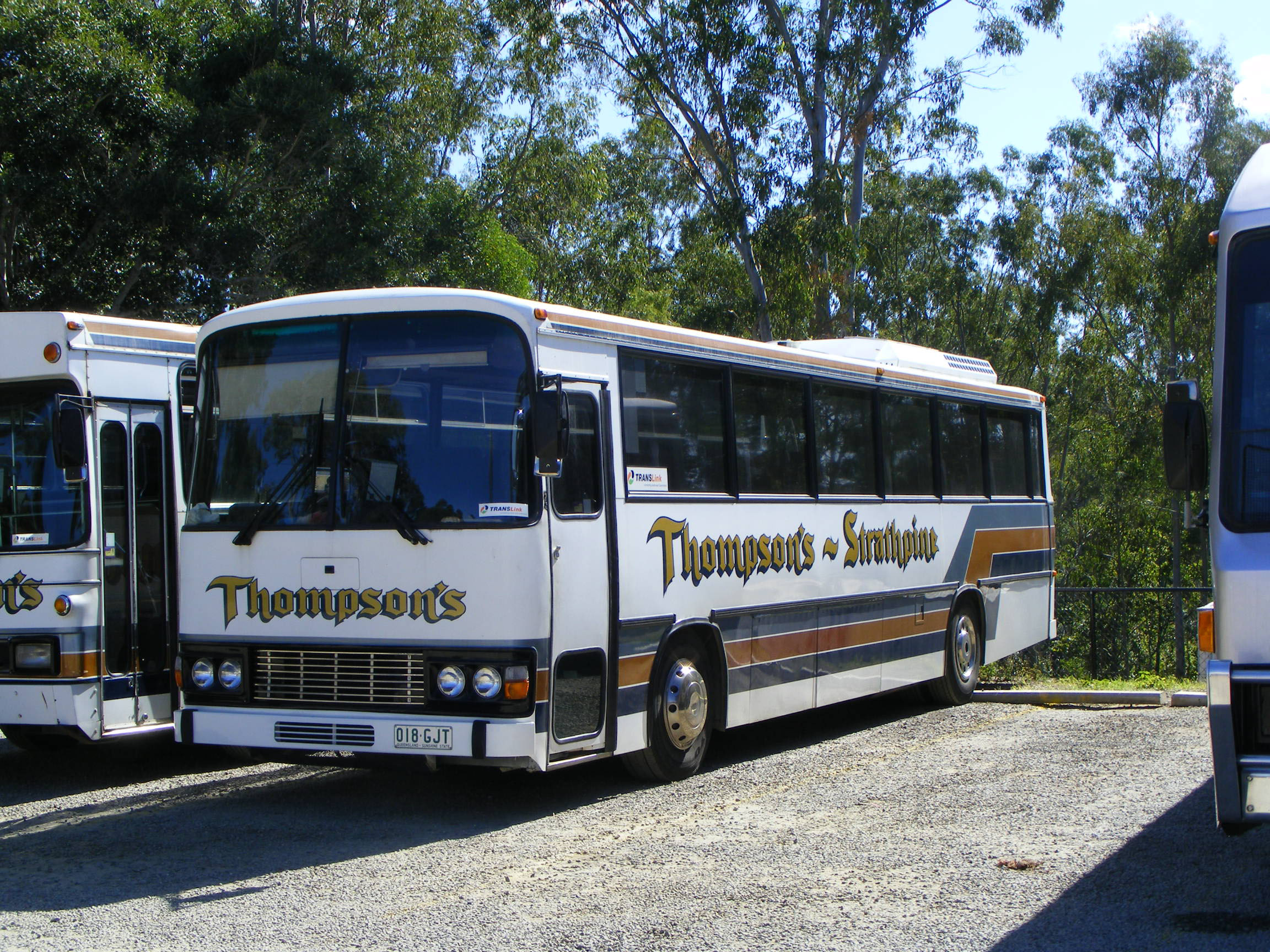 Thompson Bus Services - australia.SHOWBUS.com BUS IMAGE GALLERY