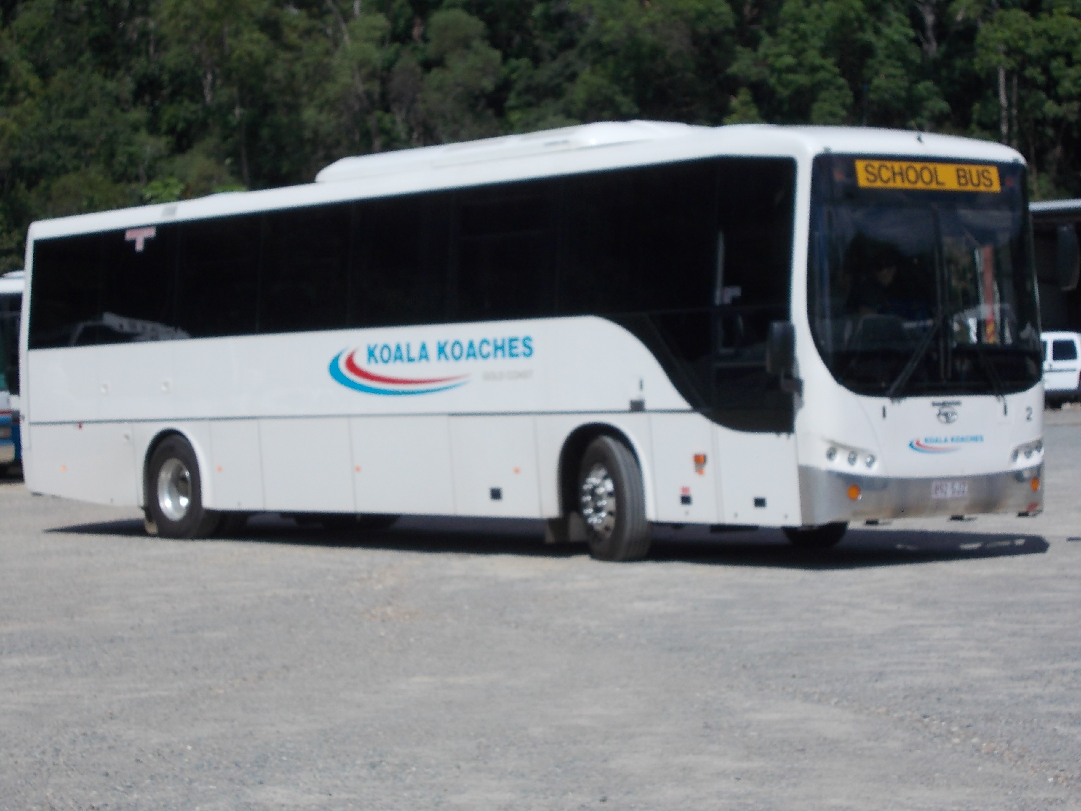 Koala Koaches | australia.SHOWBUS.com BUS IMAGE GALLERY | Queensland
