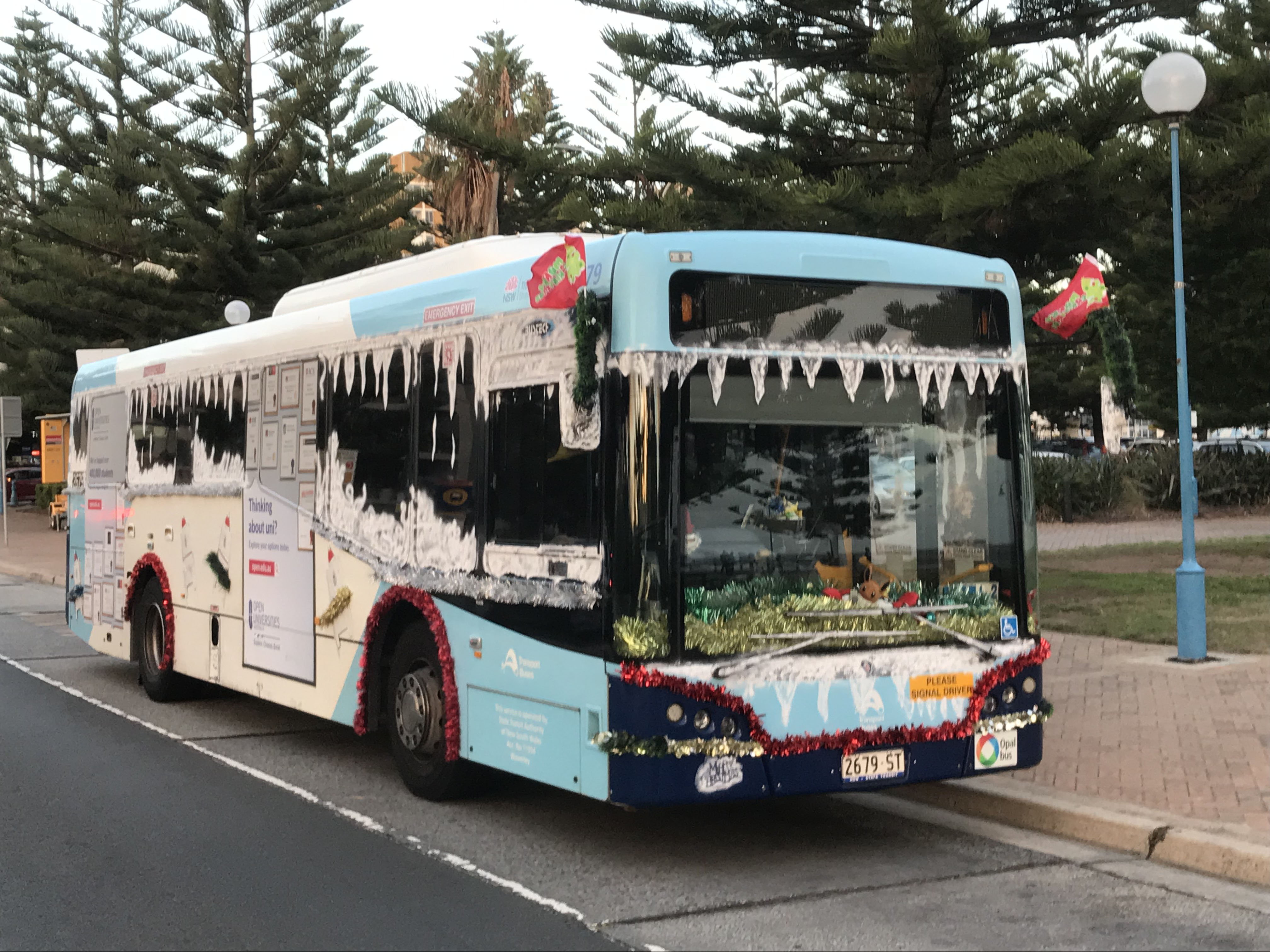 Sydney Buses | australia.SHOWBUS.com BUS IMAGE GALLERY