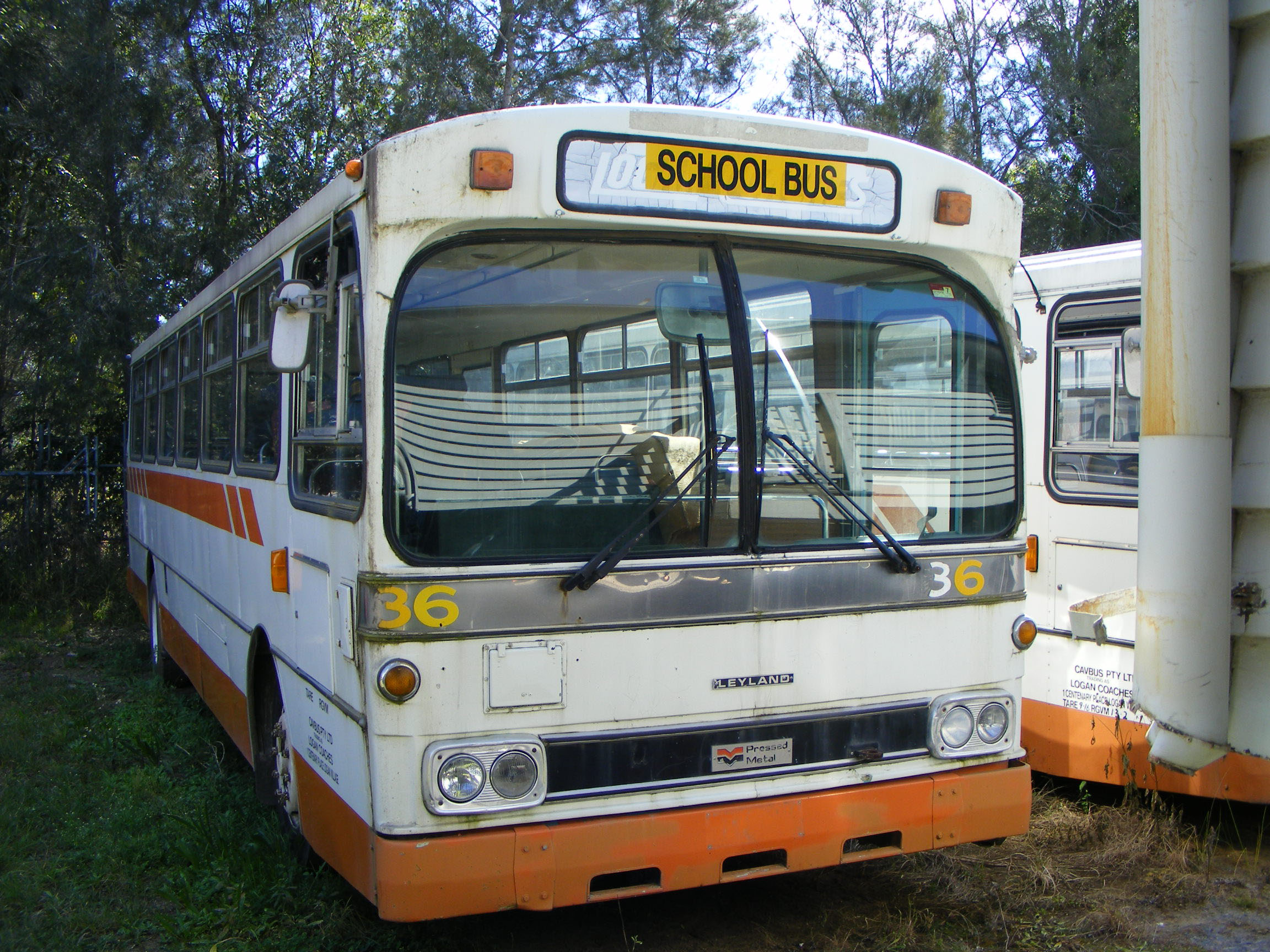 Ventura | australia.SHOWBUS.com BUS IMAGE GALLERY