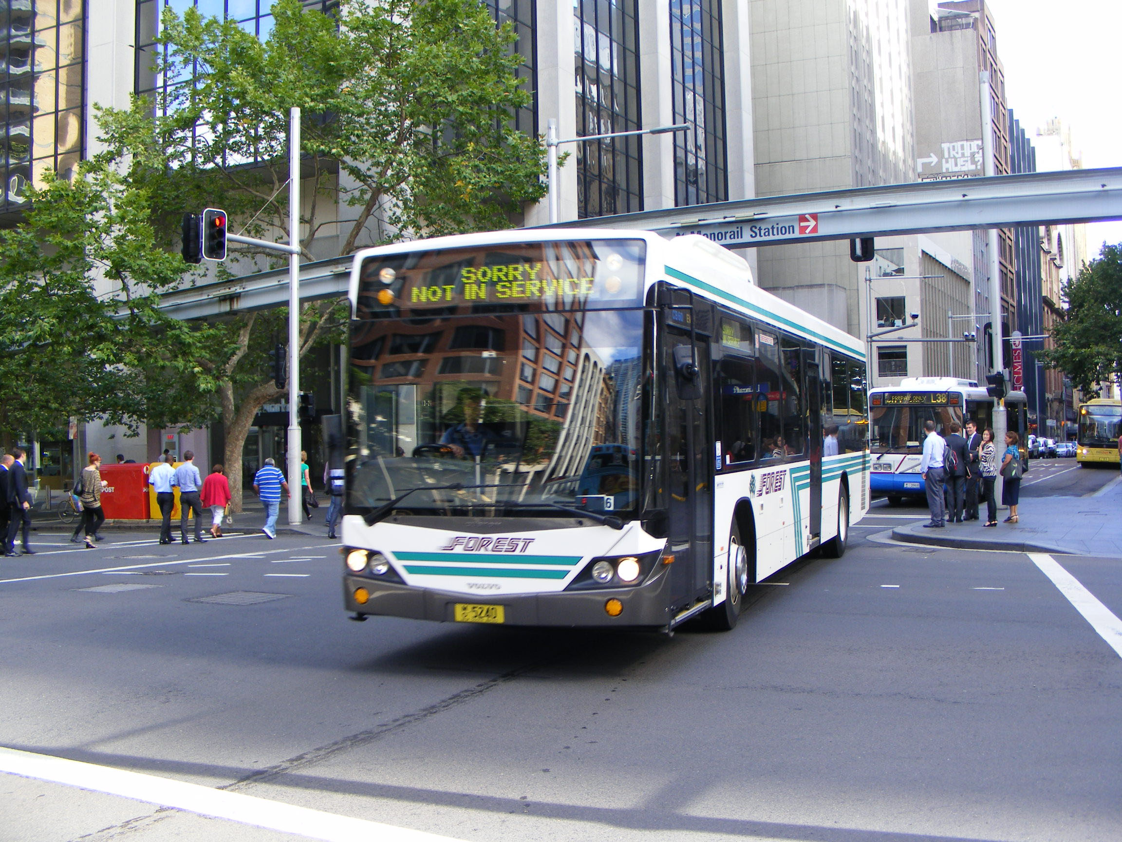 Forest Coach Lines | australia.SHOWBUS.com BUS IMAGE GALLERY