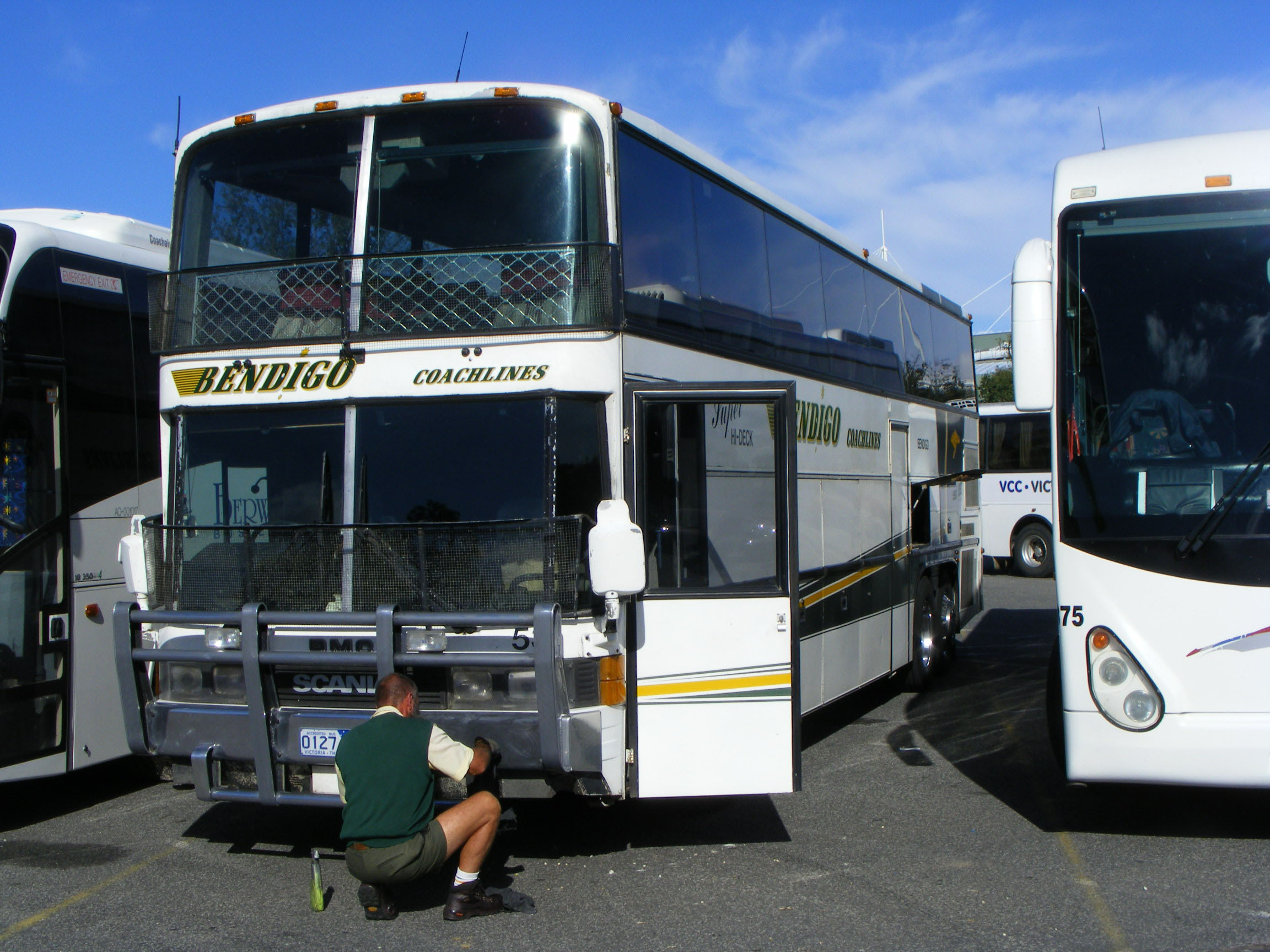 Bendigo Coachlines | australia.SHOWBUS.com BUS IMAGE GALLERY | Victoria