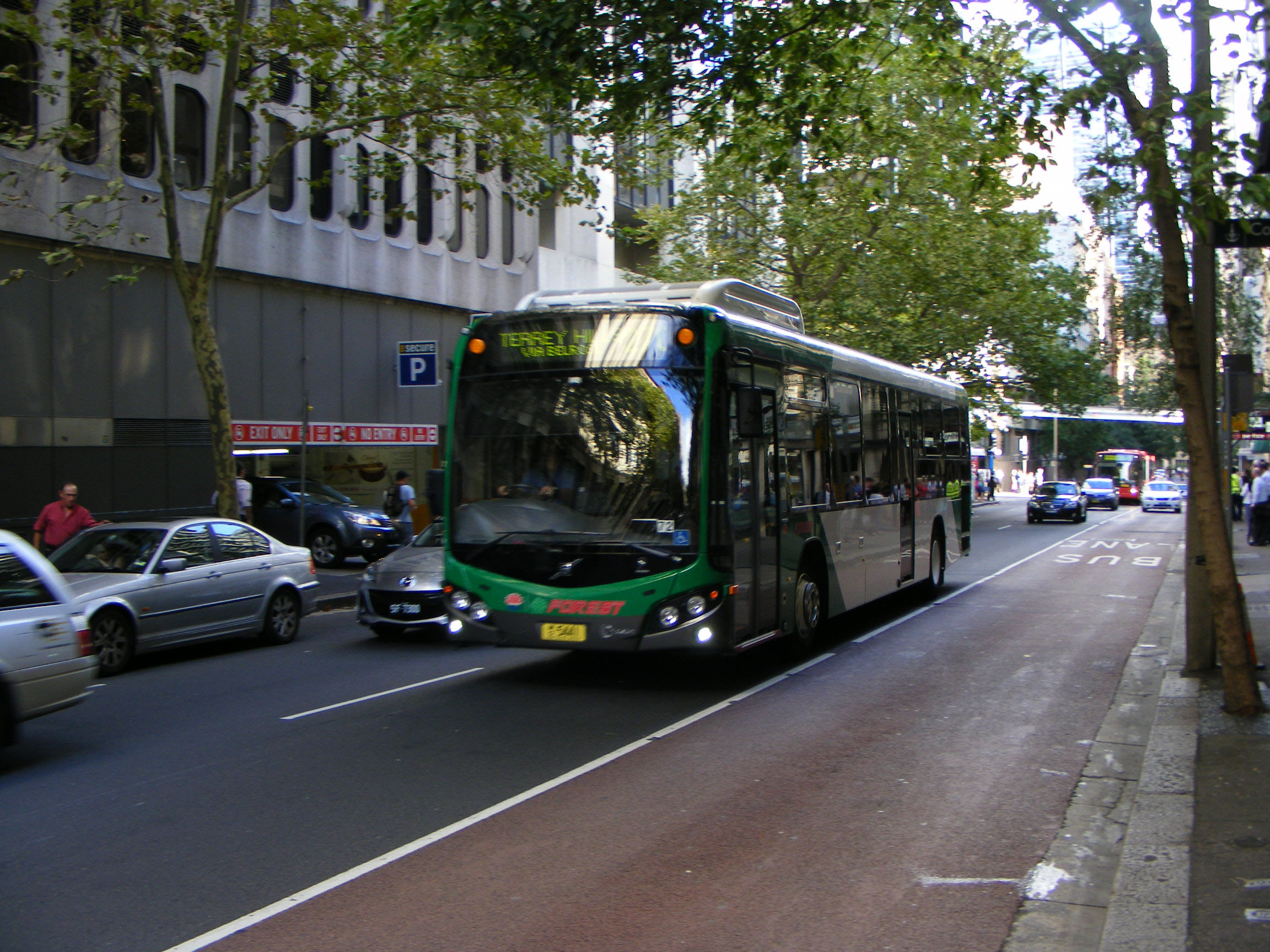 Forest Coach Lines | australia.SHOWBUS.com BUS IMAGE GALLERY