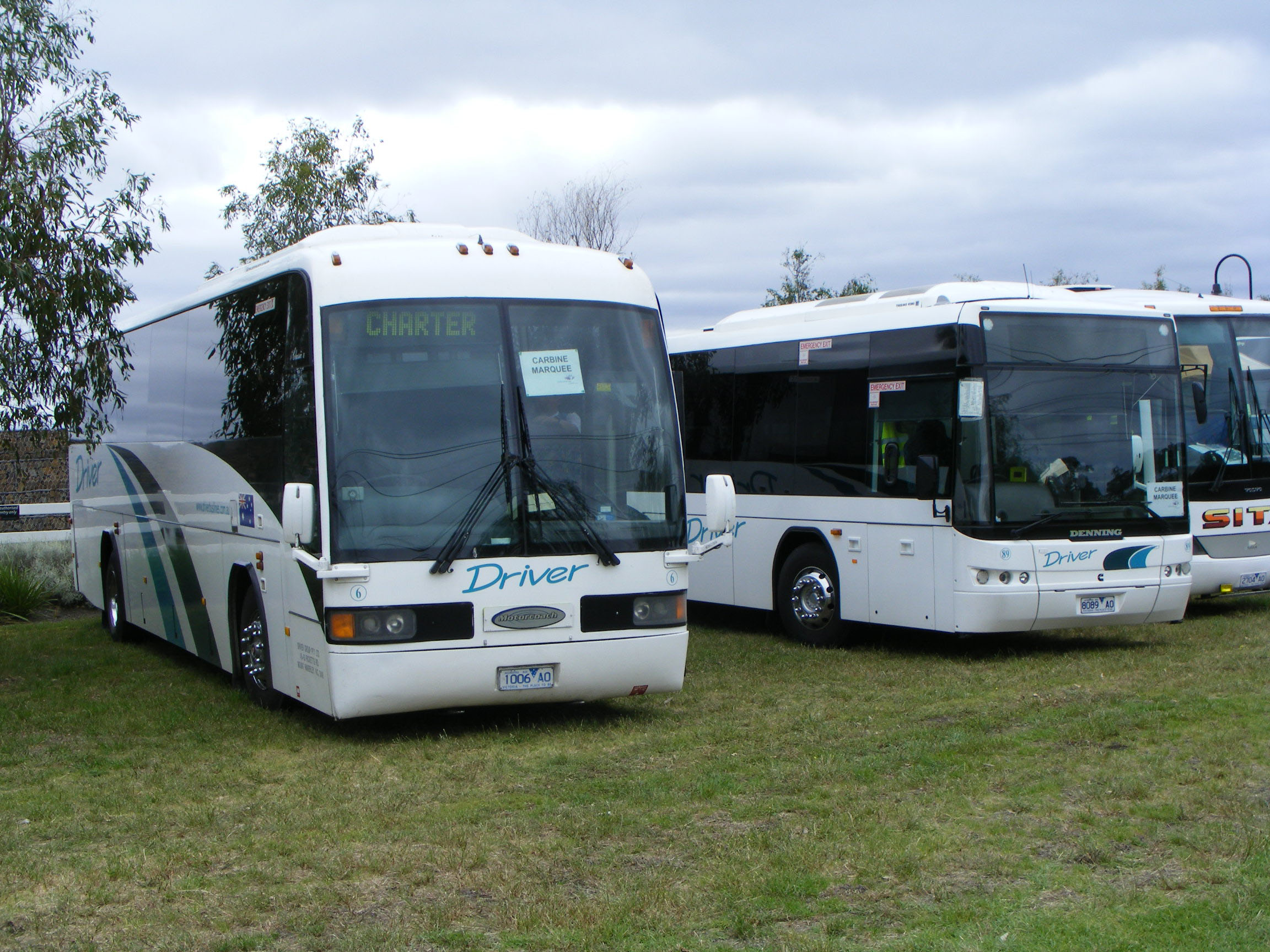Driver Bus Lines | australia.SHOWBUS.com BUS IMAGE GALLERY