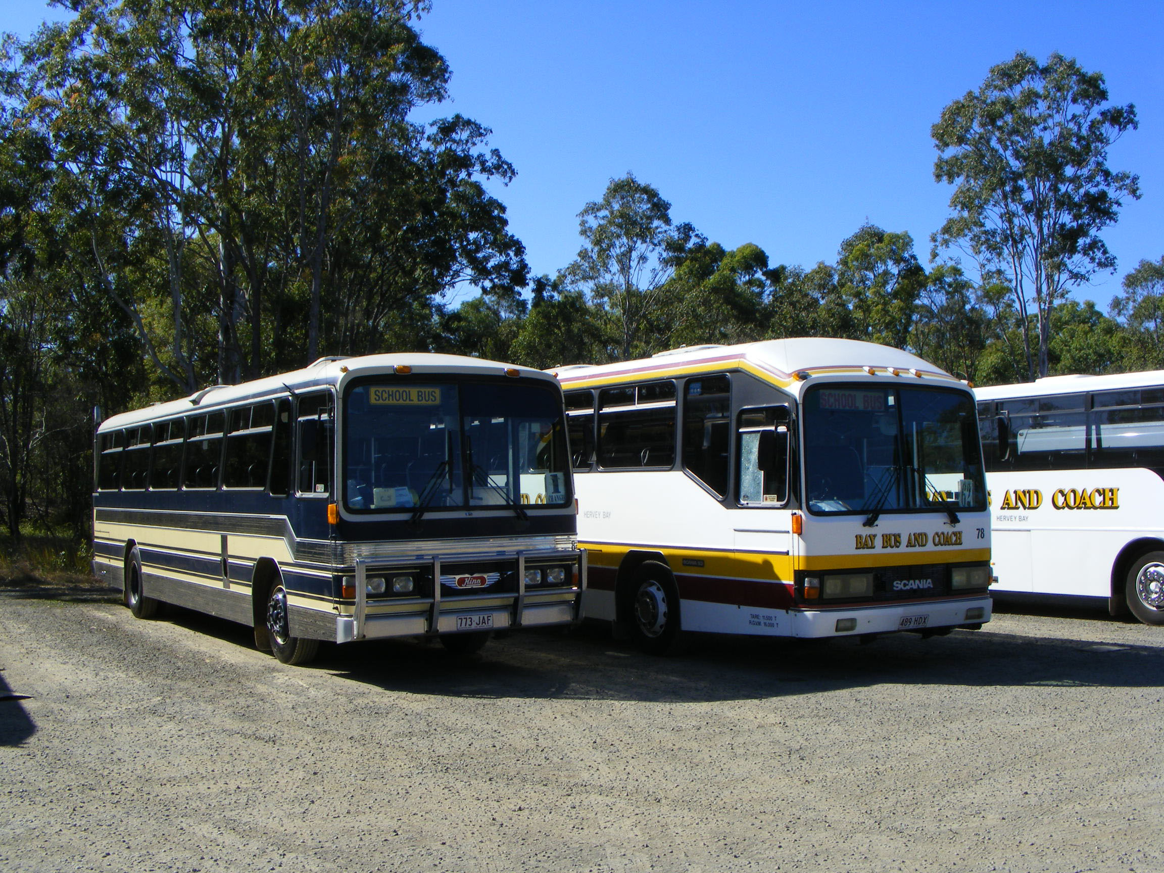 Harris Park Transport | australia.SHOWBUS.com BUS IMAGE GALLERY