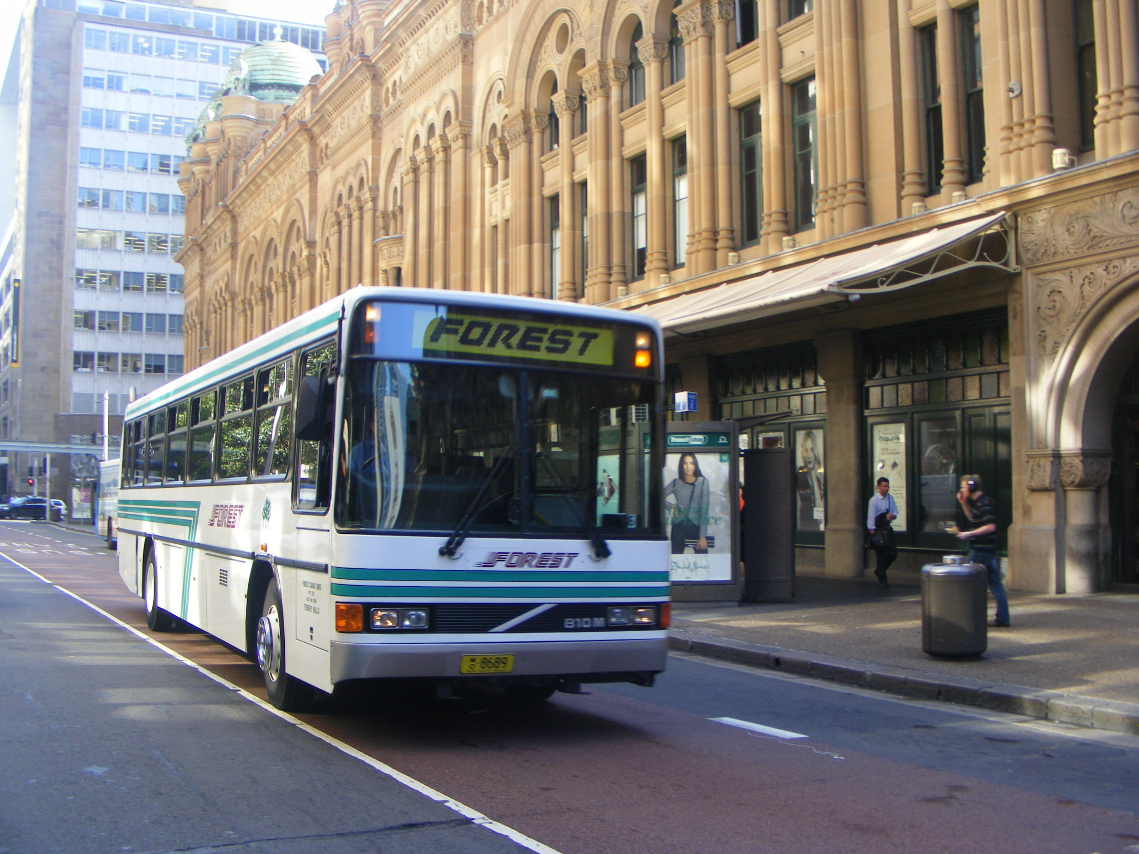 Forest Coach Lines | australia.SHOWBUS.com BUS IMAGE GALLERY