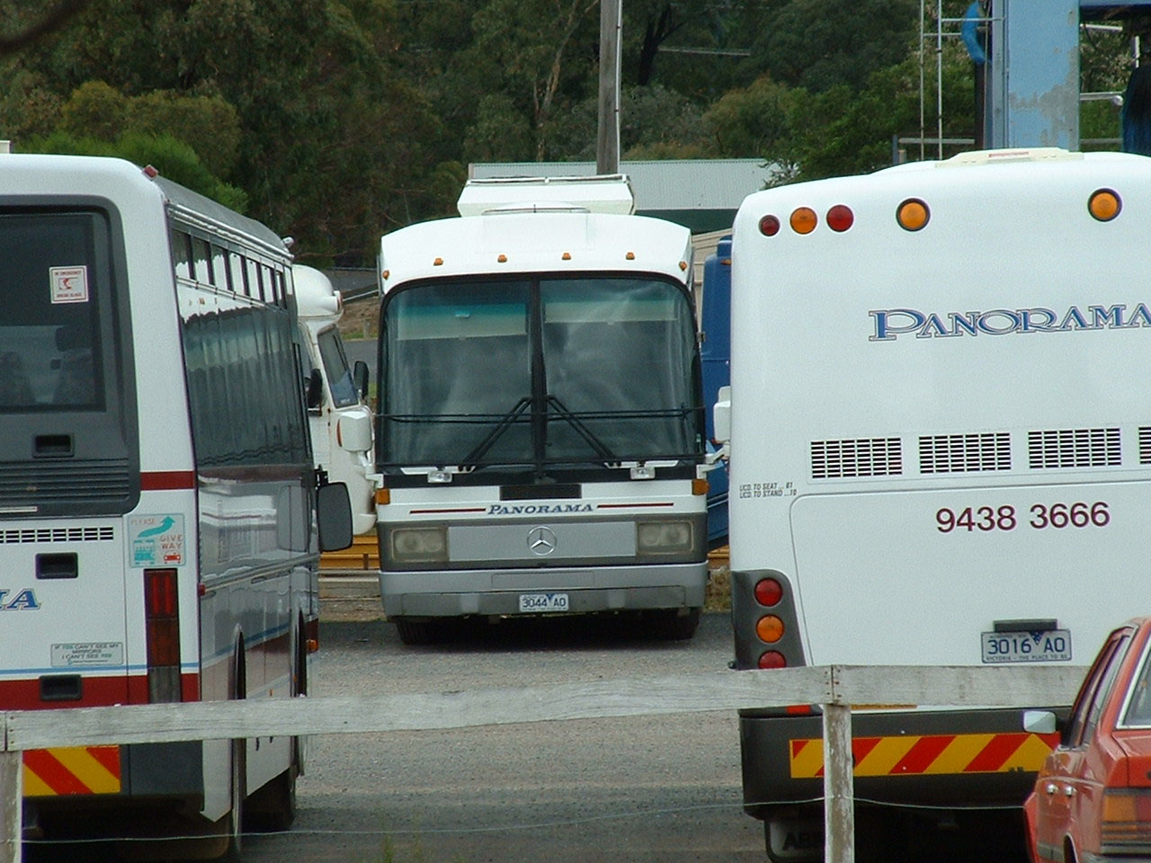 Panorama Coaches - australia.SHOWBUS.com BUS IMAGE GALLERY - Dineen Group