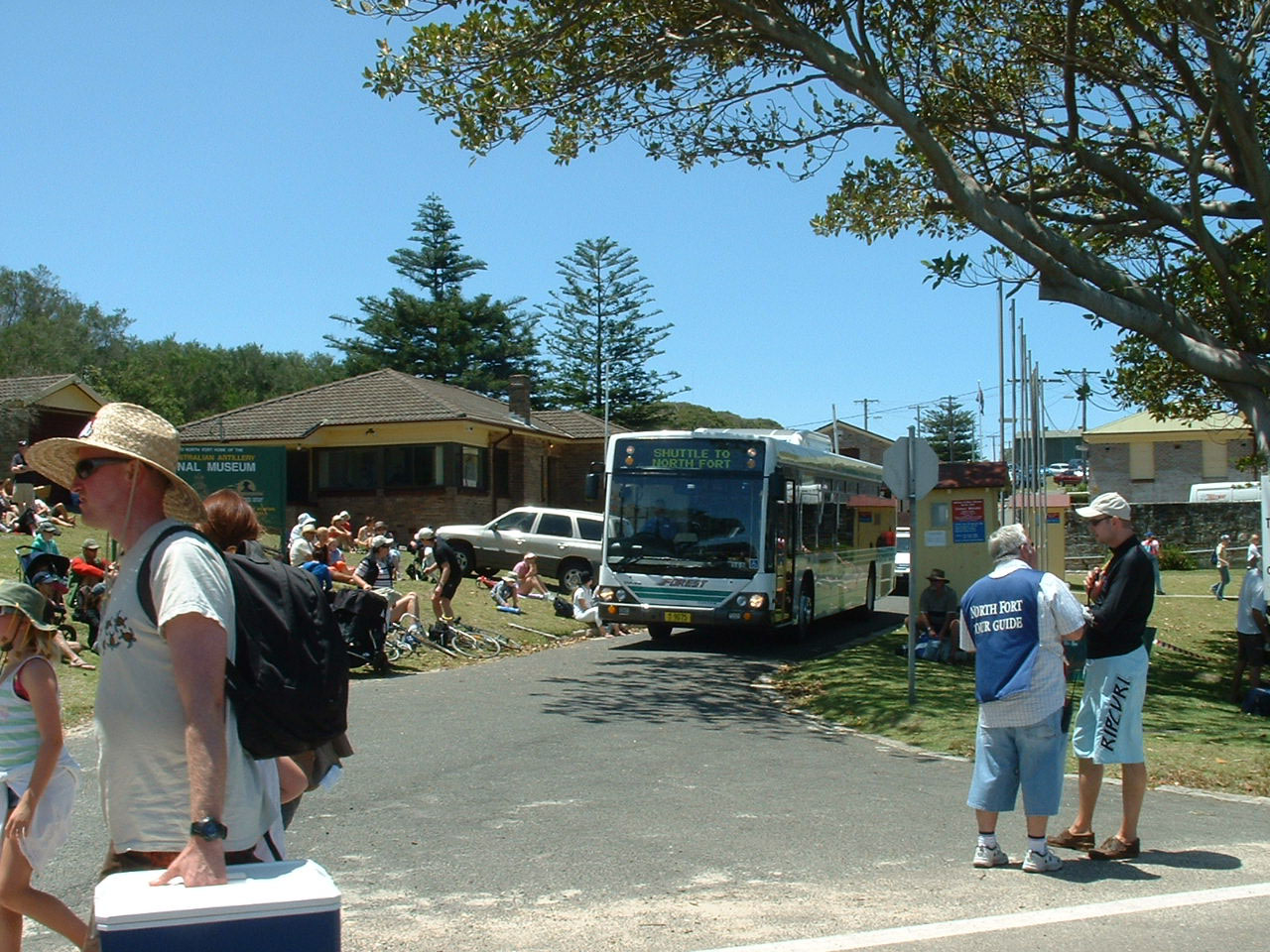 Forest Coach Lines | australia.SHOWBUS.com BUS IMAGE GALLERY
