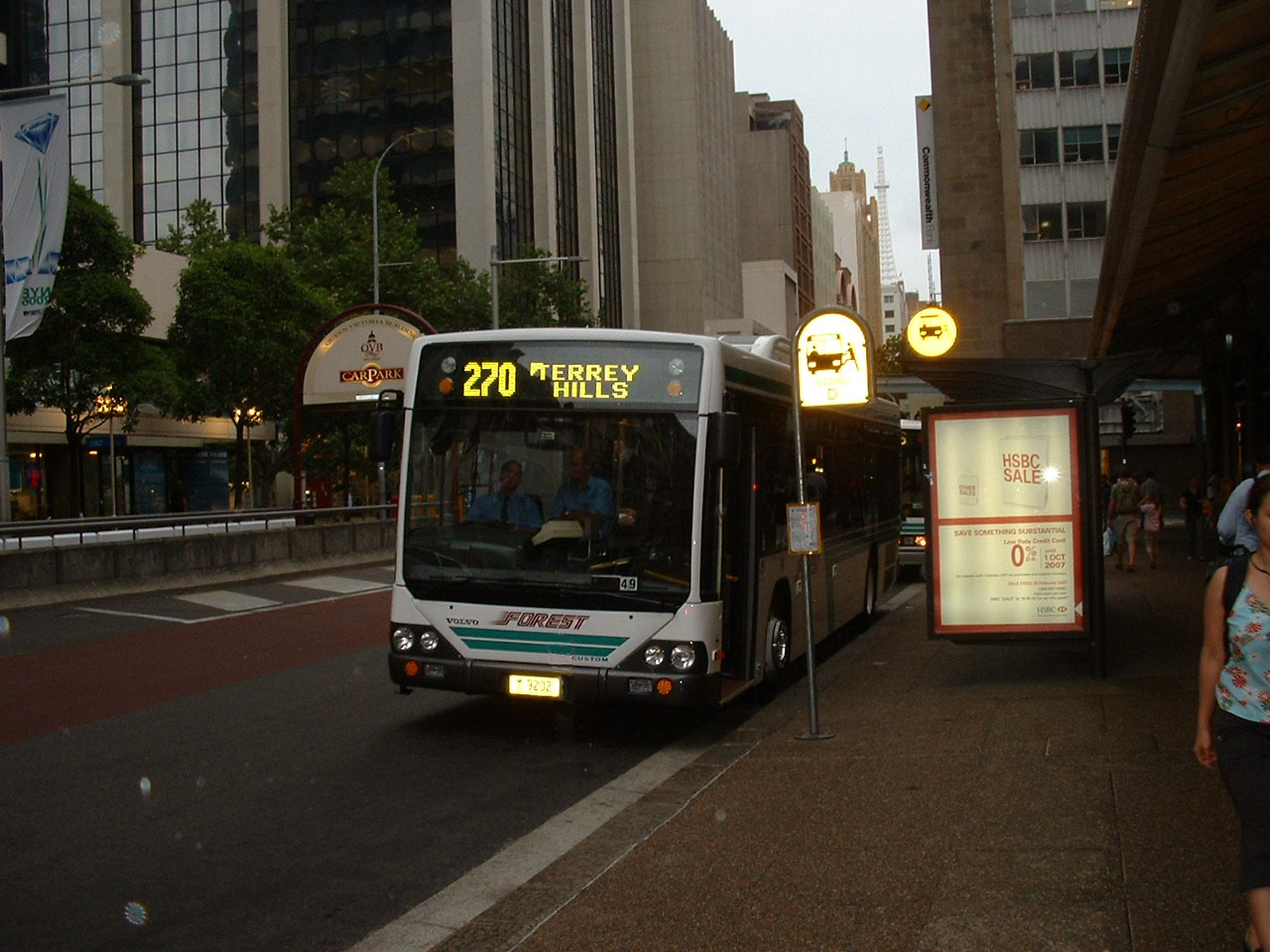 Forest Coach Lines | australia.SHOWBUS.com BUS IMAGE GALLERY