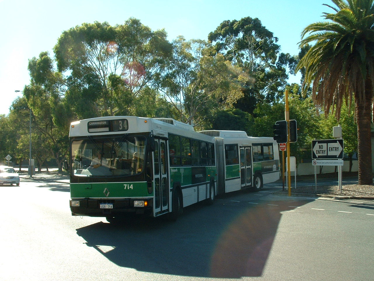 Transperth Australia SHOWBUS BUS IMAGE GALLERY