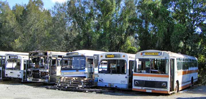Logan Coaches | australia.SHOWBUS.com BUS IMAGE GALLERY | Queensland