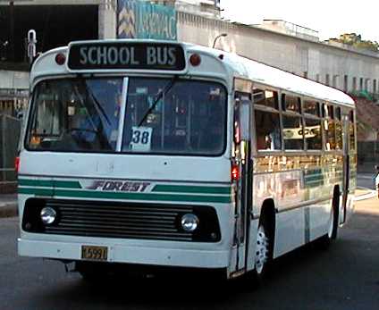Forest Coach Lines | australia.SHOWBUS.com BUS IMAGE GALLERY