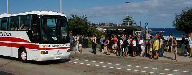 APT coaches | australia.SHOWBUS.com BUS IMAGE GALLERY | AUSTRALIA