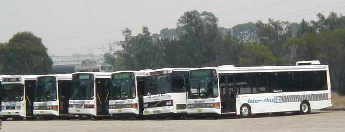 Interline | australia.SHOWBUS.com BUS IMAGE GALLERY | NSW