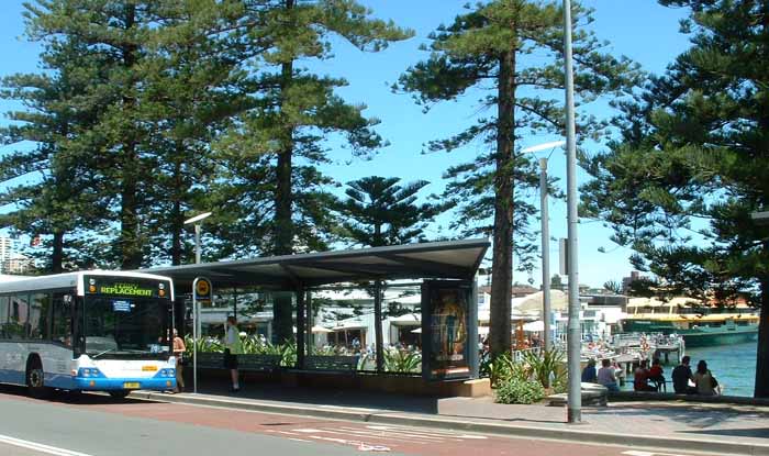 Sydney Buses - australia.SHOWBUS.com BUS IMAGE GALLERY