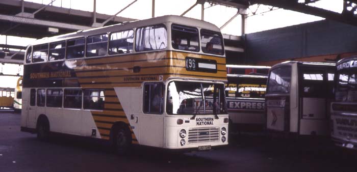 The SHOWBUS Photo Gallery - Southern National