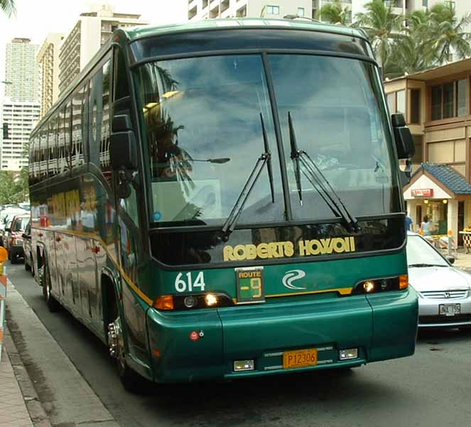 ROBERTS HAWAII | SHOWBUS AMERICA BUS IMAGE GALLERY